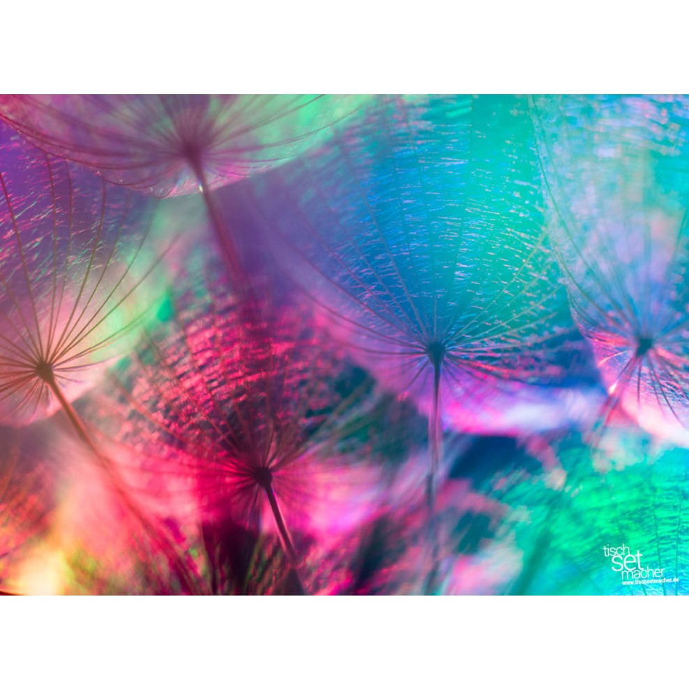 Tischset | Platzset - PUSTEBLUME BUNT - aus Papier - tischsetmacher.de ...